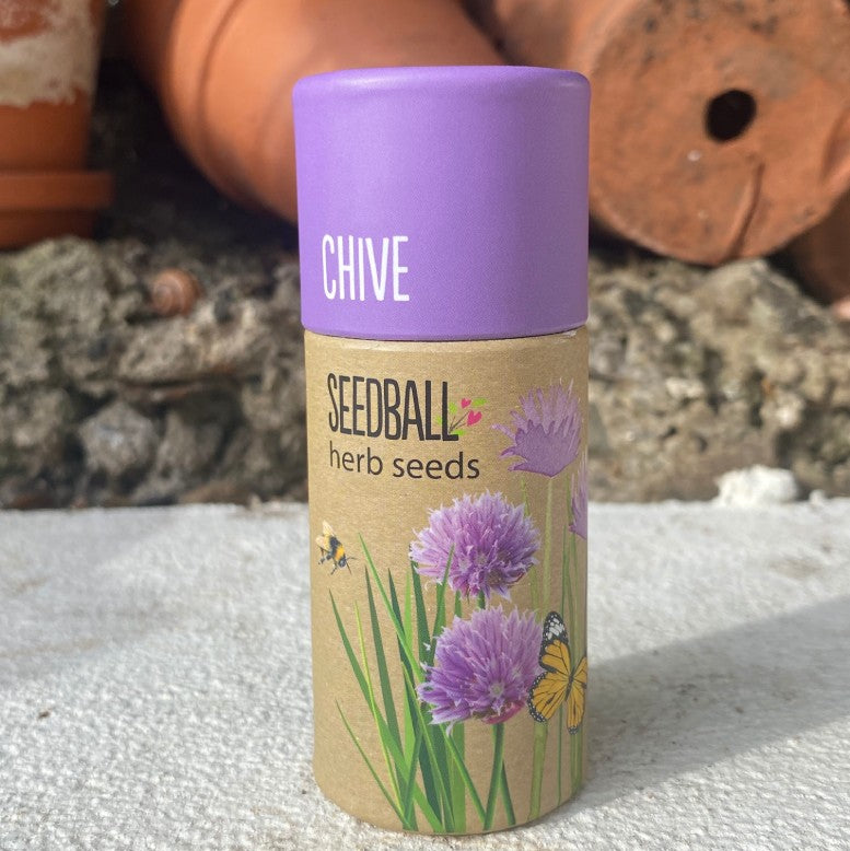 Chive Herb Seed Balls – The Crafty Kit Company
