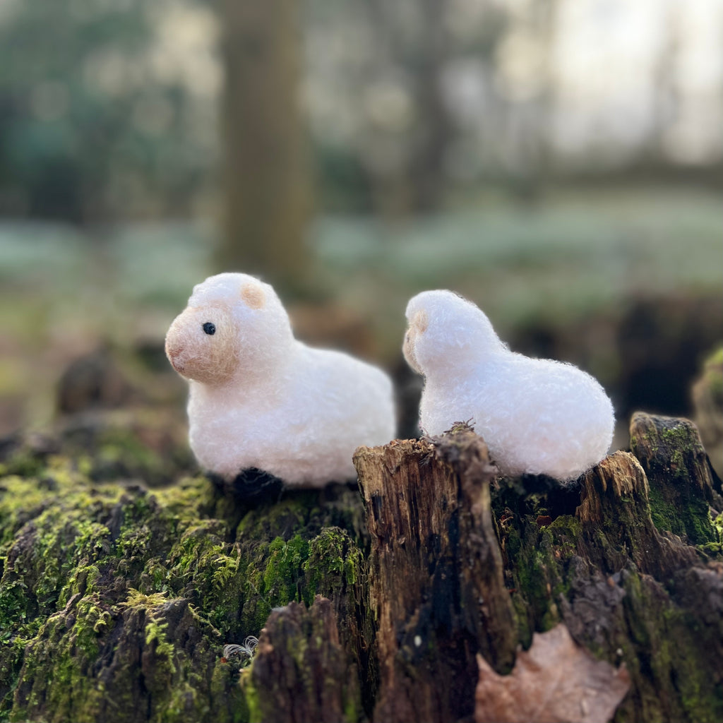 Sheep Family Needle Felting Craft Kit | The Crafty Kit Company