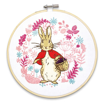 Beatrix Potter Embroidery – The Crafty Kit Company