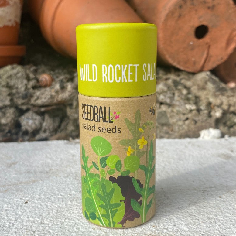Wild Rocket Herb Seed Balls – The Crafty Kit Company