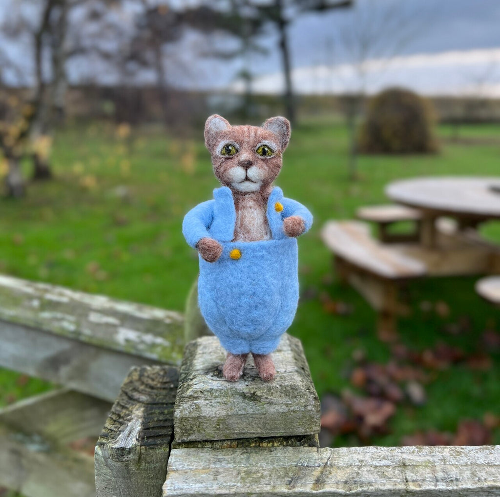 Tom Kitten Needle Felting Kit | Beatrix Potter| The Crafty Kit Company