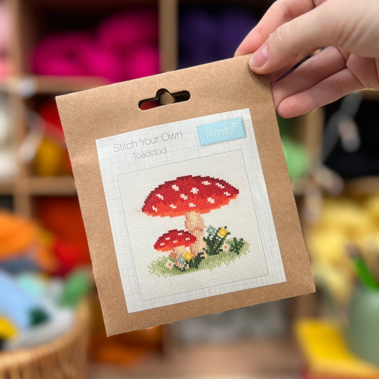Trimits | Stitch your Own Toadstool Cross Stitch Craft Kit | The Crafty ...