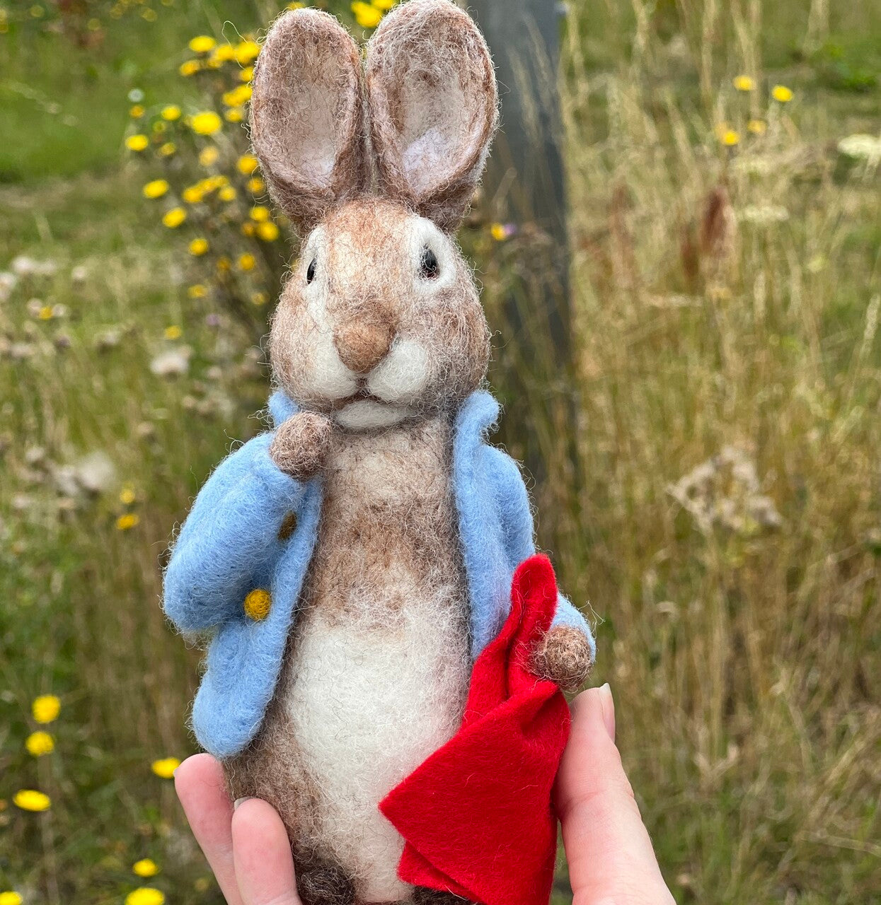 Peter Rabbit and his Pocket Handkerchief Needle Felting Craft Kit | The ...
