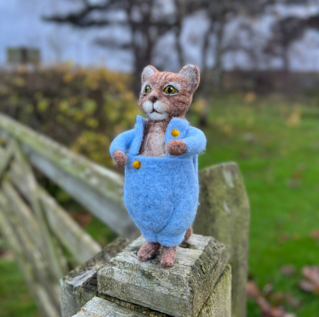 Tom Kitten Needle Felting Kit | Beatrix Potter| The Crafty Kit Company